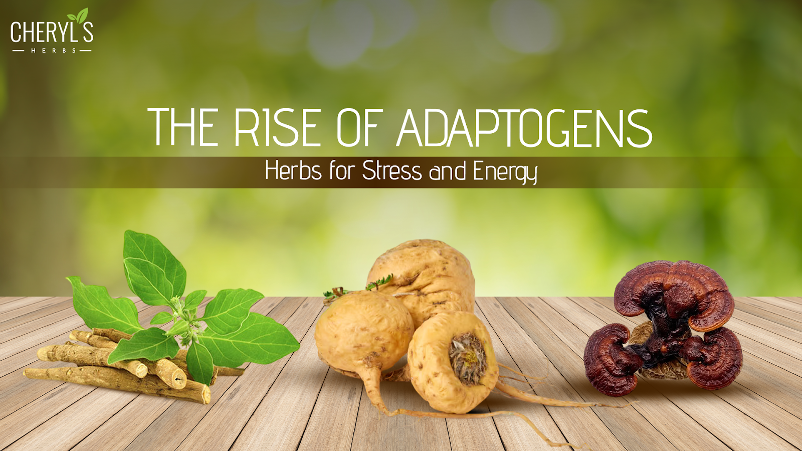 The Rise of Adaptogens: Herbs for Stress and Energy – Cheryls Herbs