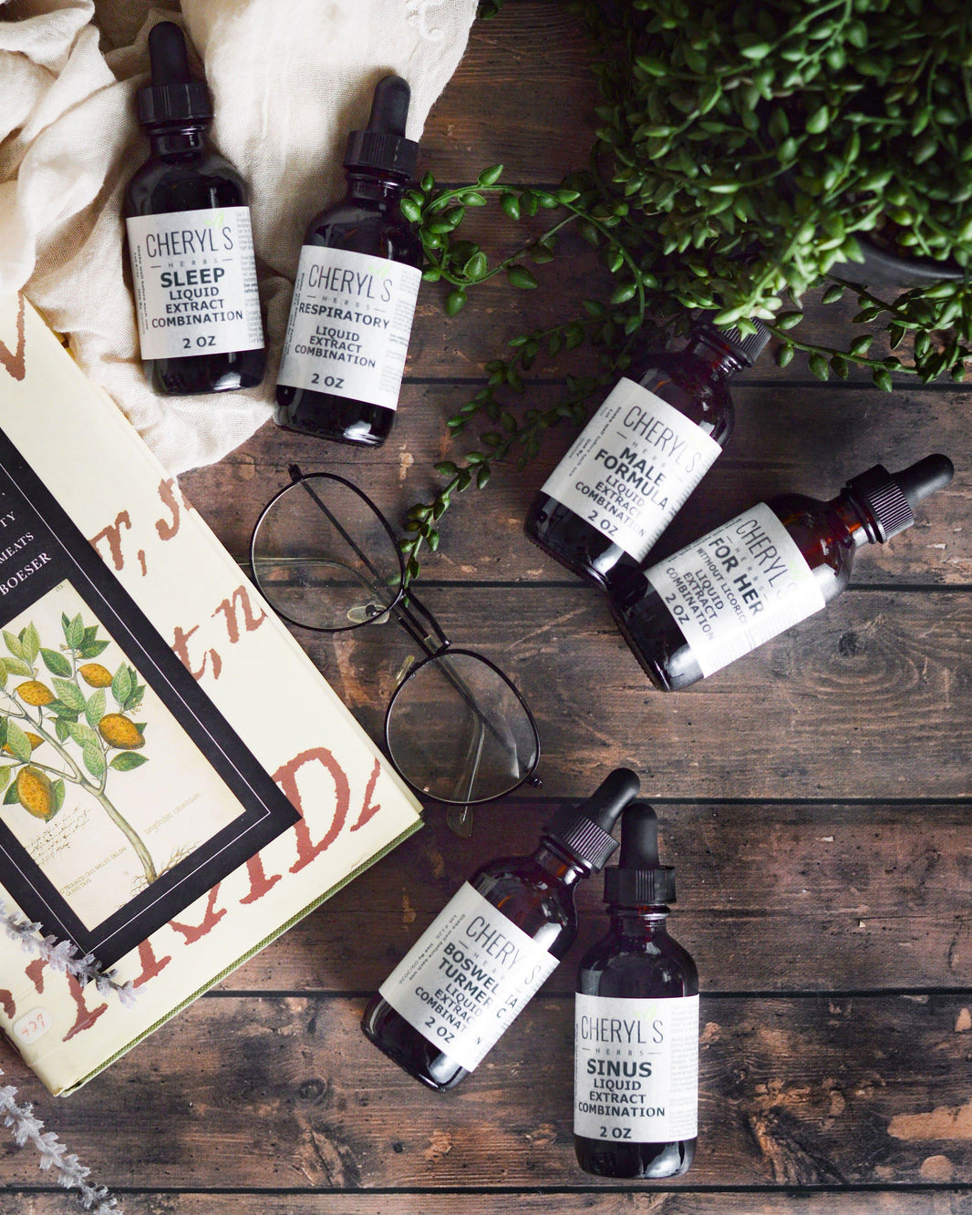 Retail Liquid Extracts – Cheryls Herbs
